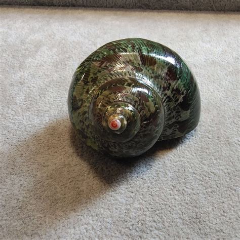 Badu Bg Резервна черупка за рак отшелник Колекция от цветни охлюви Раковини и морски звезди