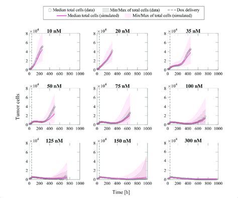 Comparison Of Simulated Tumor Cell Population Growth Based On Empirical Download Scientific