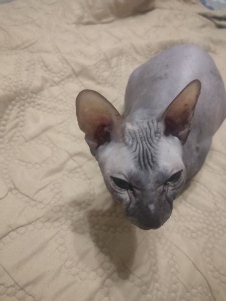 Не работает Delay на Millis Аппаратная платформа Arduino