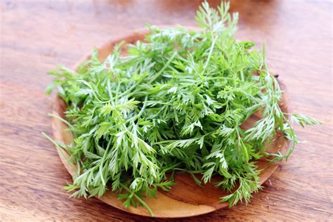 당근잎 세척 당근잎 샐러드