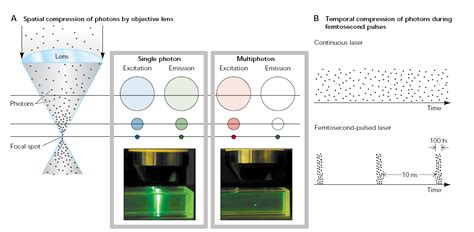 The Parker Lab At Uci Microscopy Construction How To Build Your Own