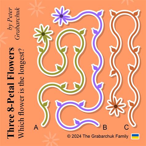 Which Flower Is The Longest Write Your Answer In The Comments ️