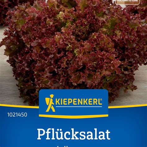 Seminte Salata Lollo Rossa Verdena Verdena