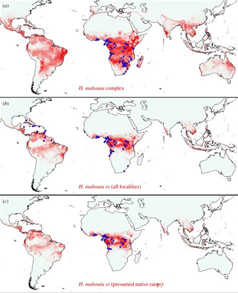 Maxent Species Distribution Models Using The Cloglog Output For A Download Scientific