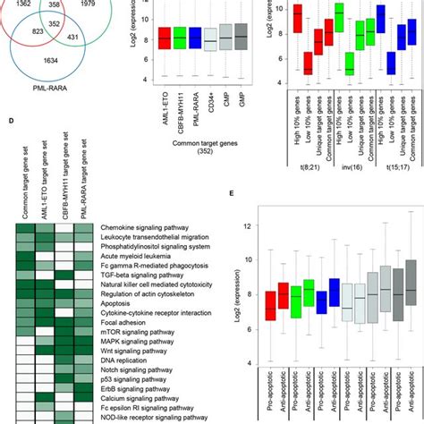 Aml Signature Gene Identification Heatmap Displaying Expression Levels