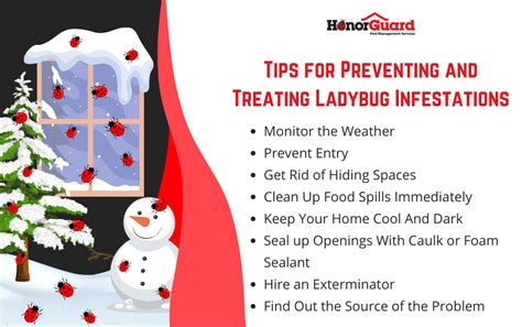 Tips For Preventing And Treating Ladybug Infestations Honor Guard