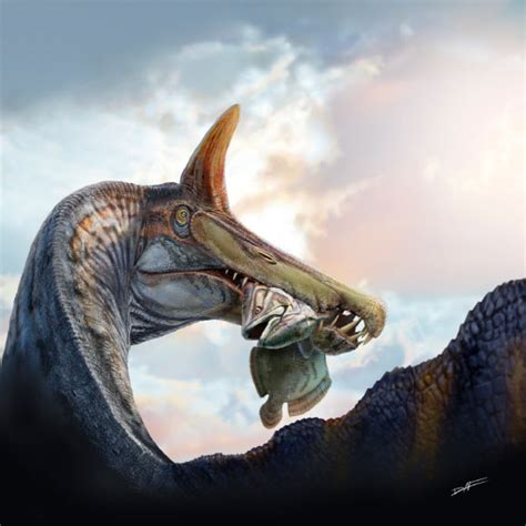New Spinosaurus Species Discovered In Niger Sci News