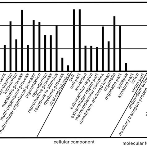 Cog Function Classification The Capital Letters In X Axis Indicates