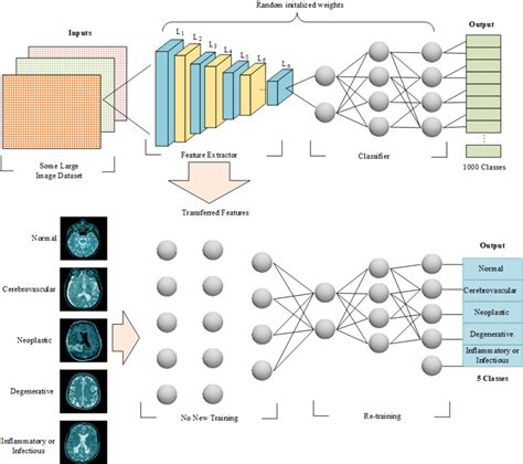 Figure 3 From Convolutional Neural Networks For Multi Class Brain Disease Detection Using Mri