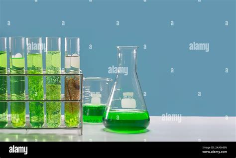 Algae Fuel Biofuel Industry Lab Researching For Alternative To Fossil
