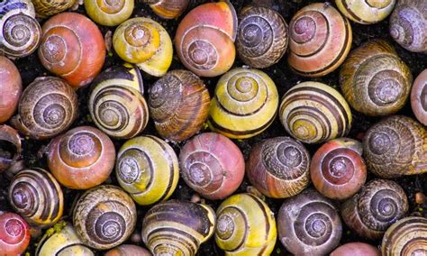 Why We Need Post Quantum Cryptography Or Quantum Safe Algorithms