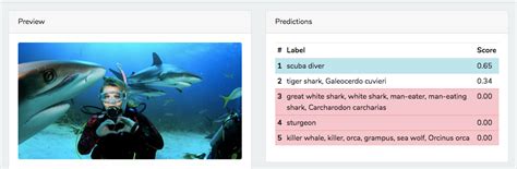 Image Classification With Client Side Neural Network Using Tensorflowjs By Deepak