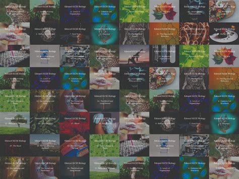 Edexcel Igcse Biology Presentations Chapters 1 3 Teaching Resources