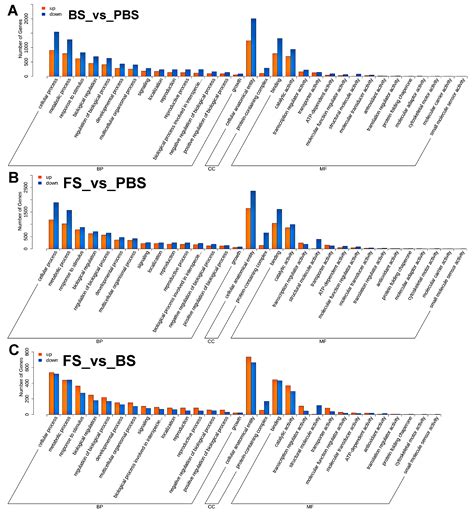 Temporal Transcriptome Analysis Reveals Core Pathways And Orphan Gene