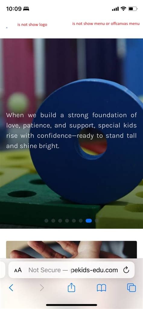 on mobile view it doesn t show logo menu or offcanvas support central