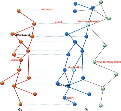 An Example Of Network Alignment Between G1 And G2 A Network Alignment Download Scientific