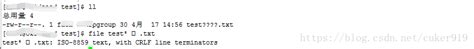 Window到linux文件名乱码和文件内容乱码解决总结windowserver挂载linux Nfs 中文乱码 Csdn博客