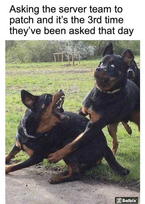 The Cyber Security Hub™ On Linkedin Via Balbix 97 Comments