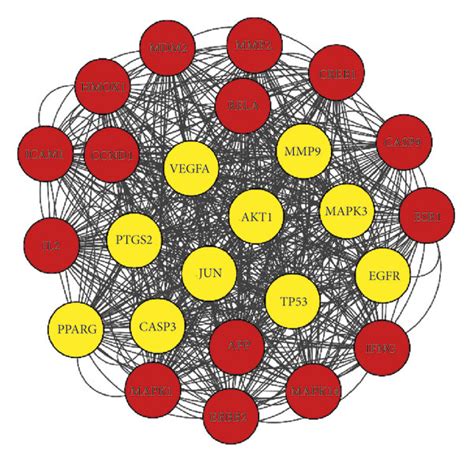 Process Of Topological Screening For The Ppi Network A Ppi Network Download Scientific
