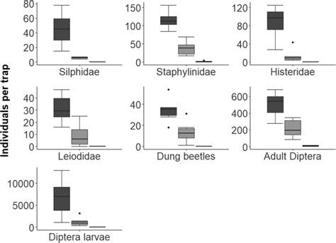 Boxplot Presenting Variation In Adult Beetle And Dipteran Abundances