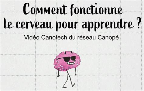 Comment Fonctionne Le Cerveau Pour Apprendre Guilde Des