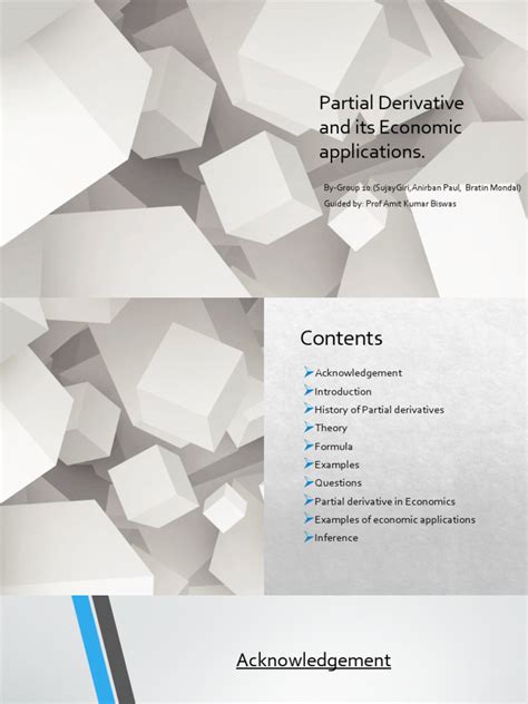 Partial Derivative And Its Economic Application Pdf Derivative Mathematics
