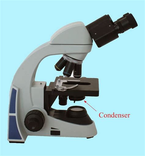 What Does A Condenser Do On A Microscope