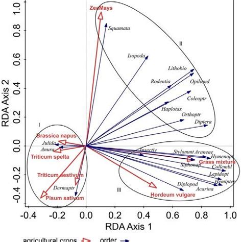 Rda Analysis Of Epigeic Groups Of Researched Agricultural Crops