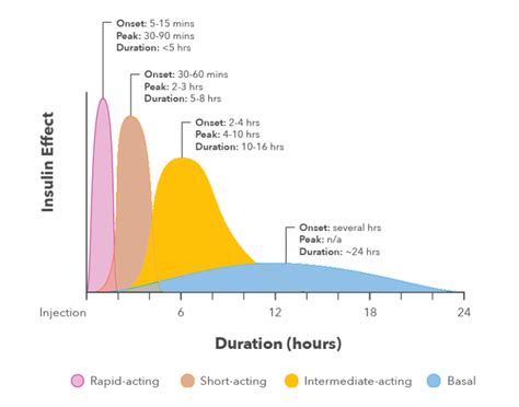 Insulin Chart A Complete Guide By InsulinIS Com