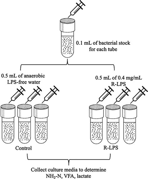 Experimental Procedure Flowchart Experiment 1 Control Control Group Download Scientific