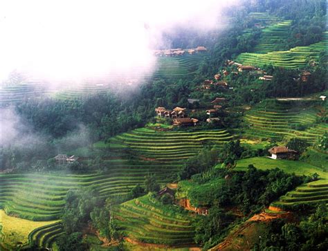 경치 경치가 좋은 계단식 농장 골짜기 구름 녹지 농장 농촌의 드론으로 찍은 사진 산 시골 언덕 테라스 농장 항공 사진에 관한 무료 스톡 사진