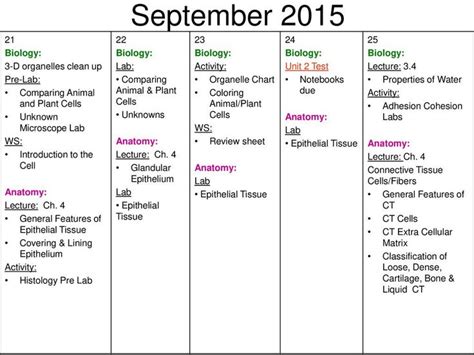 Epithelial Tissue Coloring Worksheet Learn And Color With This