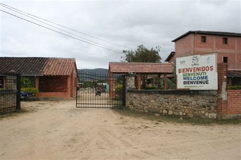 Anna Bertolotti On Linkedin Catatumbo Foundation Drug Trafficking