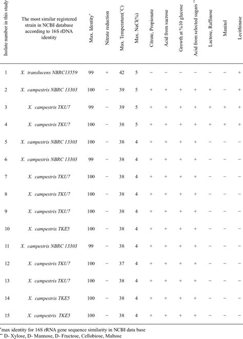 Results Of Genotypic And Phenotypic Characterization For Identification Download Table