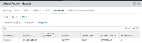 View Ip Multicast Information