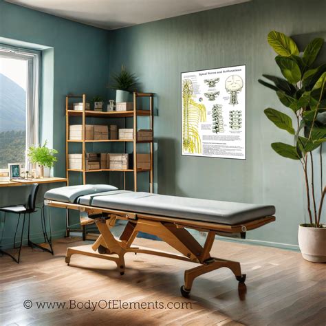 Chiropractic Subluxation Complex Poster Body Of Elements