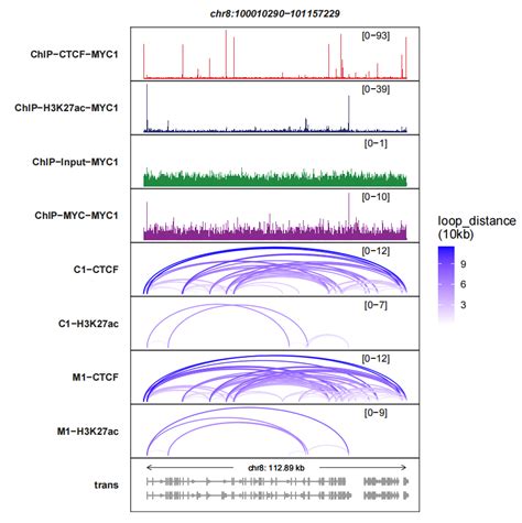 chapter 6 loops visualization biosequtils reference