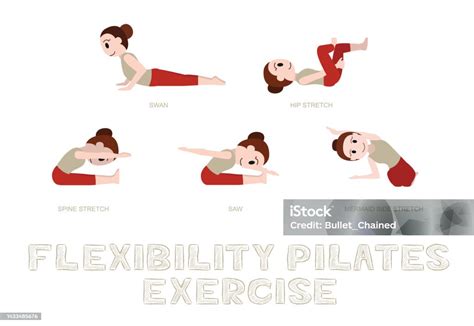 필라테스 유연성 운동 포즈 만화 벡터 일러스트 레이 션 세트 건강한 생활방식에 대한 스톡 벡터 아트 및 기타 이미지 건강한
