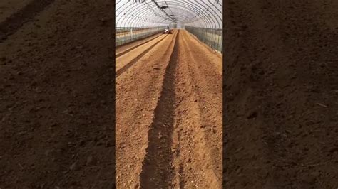 아세아관리기로 이랑만들기 Youtube