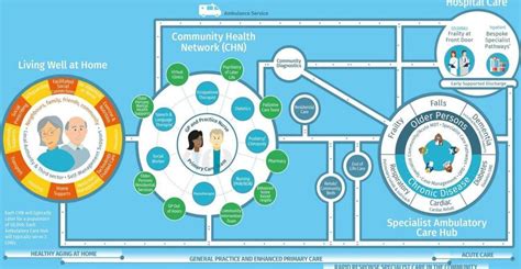 Service Pathway For Icpop Withtheliving Well At Home Piece On The Left