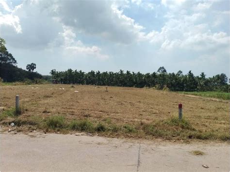 ที่ดินสวย ใกล้เซ็นทรัล 14 นาที ที่ดินร้อยแปด คอม