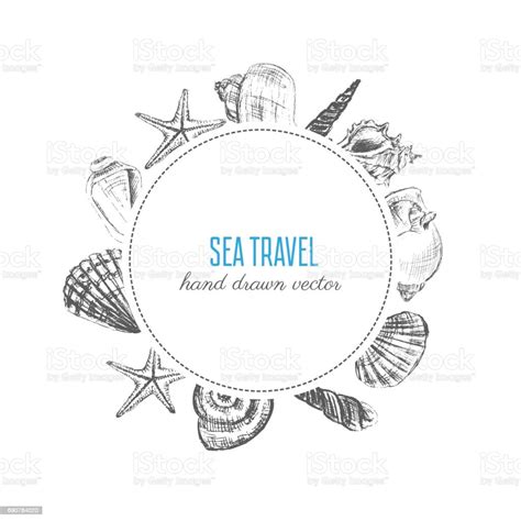 조개 손으로 그려진 된 벡터 에칭 스케치 흰색 배경 장식 라운드 프레임 수 중 해양 텍스처 템플릿 라벨 디자인 카드 미용실 천연 화장품 유기농 상점 가리비에 대한 스톡 벡터