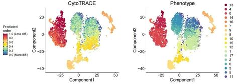“万字长文”解析单细胞转录组分析全流程解析（四）： 4款拟时序分析软件，哪款才是最适合你的“通关密码”？ 知乎