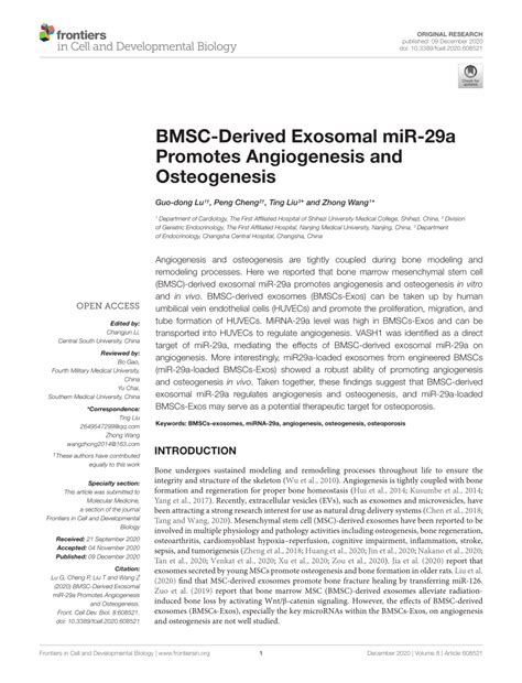 Pdf Bmsc Derived Exosomal Mir 29a Promotes Angiogenesis And Osteogenesis