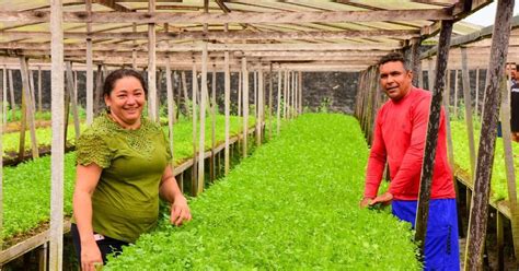 Presidente Da Associação De Mulheres Na Agricultura Familiar Fala Sobre