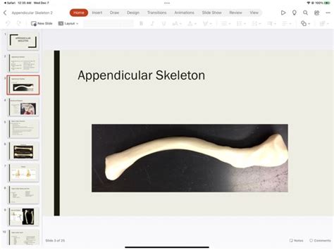 AP LAB QUIZ 3 Flashcards Quizlet