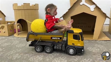 ویدئو کارتونی میمون کشاورز در برداشت خربزه و گوجه فرنگی فیلو