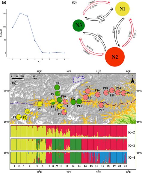 bayesian inference analyses of 11 nuclear microsatellite loci for