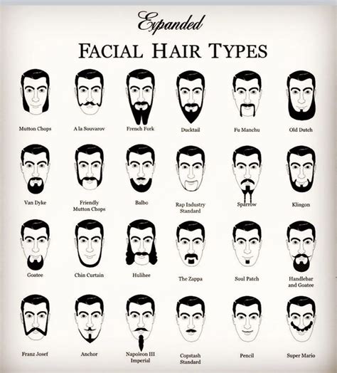 Pin By Lindsay On Marc Facial Hair Types Of Facial Hair Hair