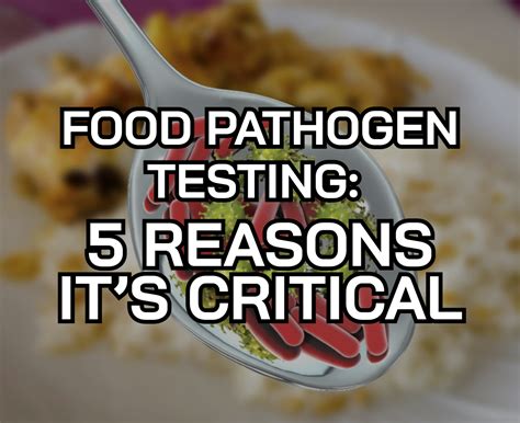 Food Pathogen Testing 5 Reasons Its Critical